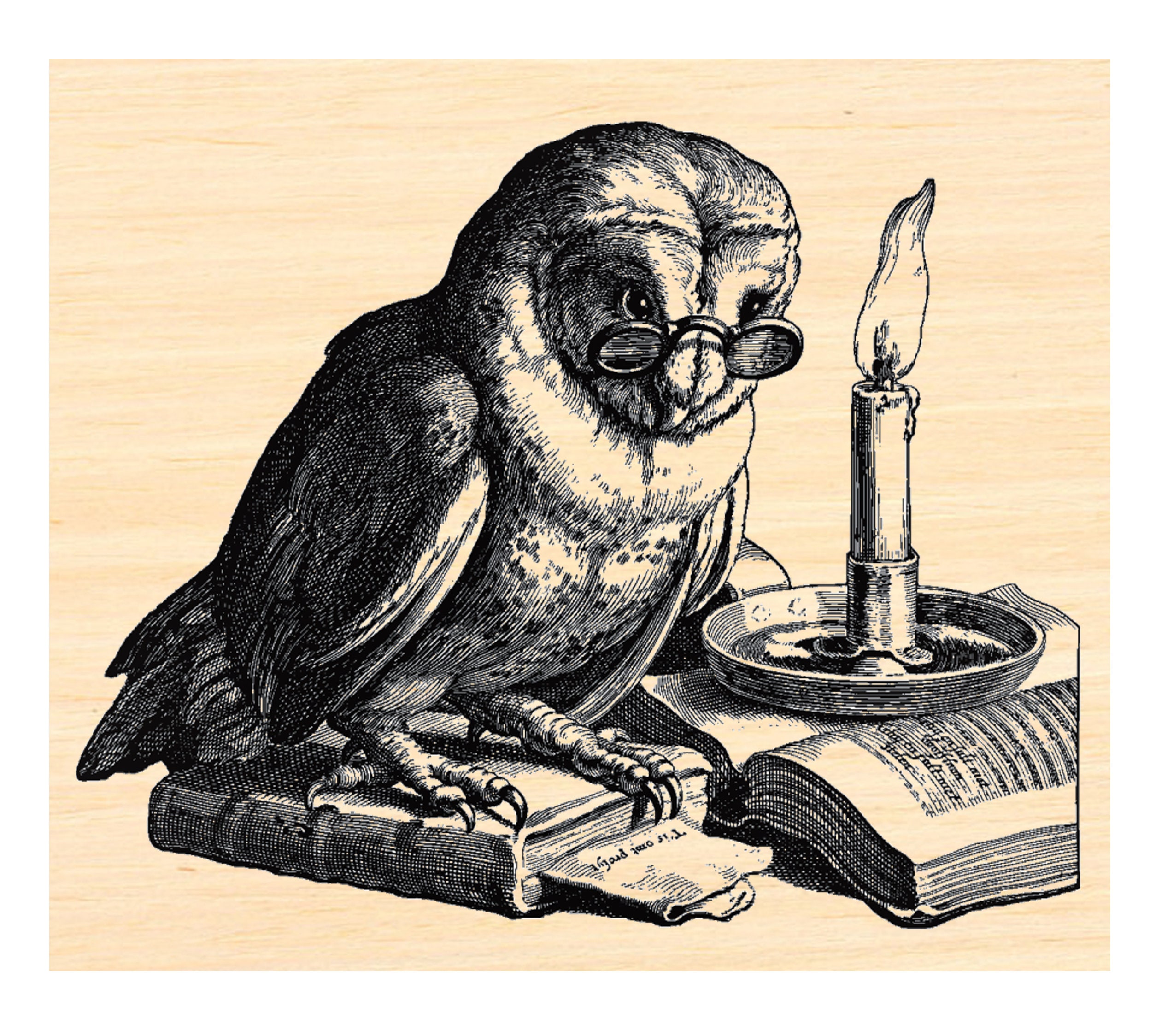 Owl Reading A Book Drawing