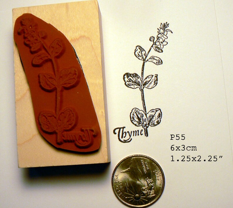 Thyme Herb Rubber Stamp WM P55 - Etsy