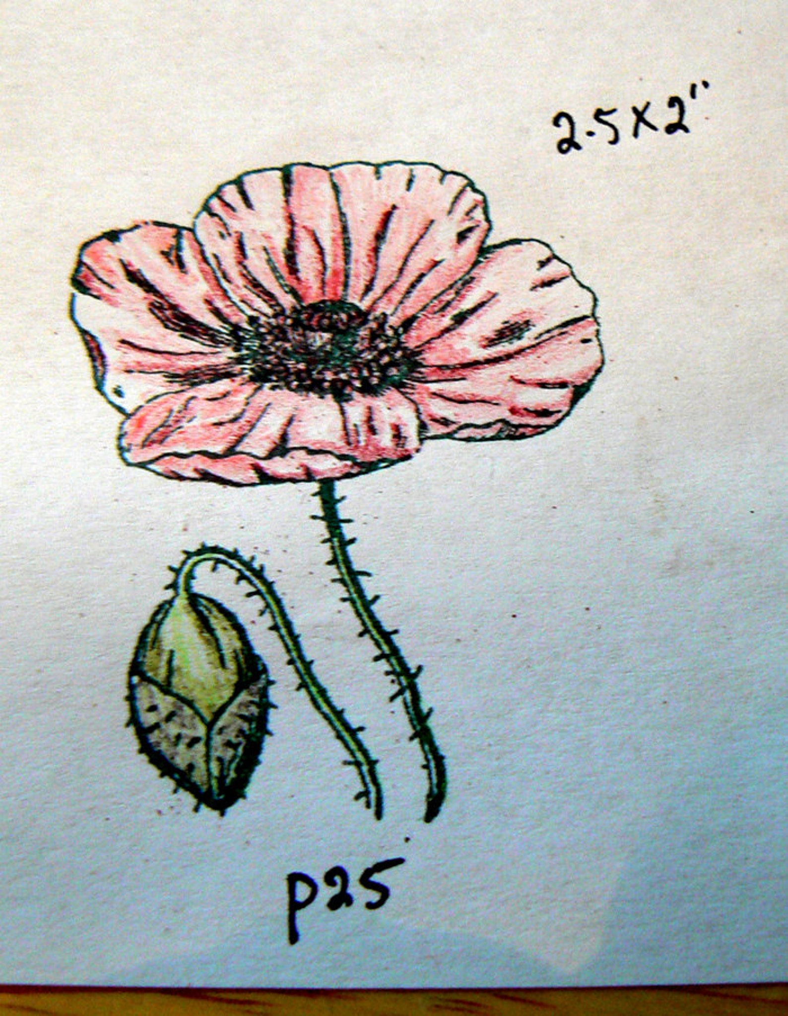 Poppy Flowers Rubber Stamp P25 - Etsy