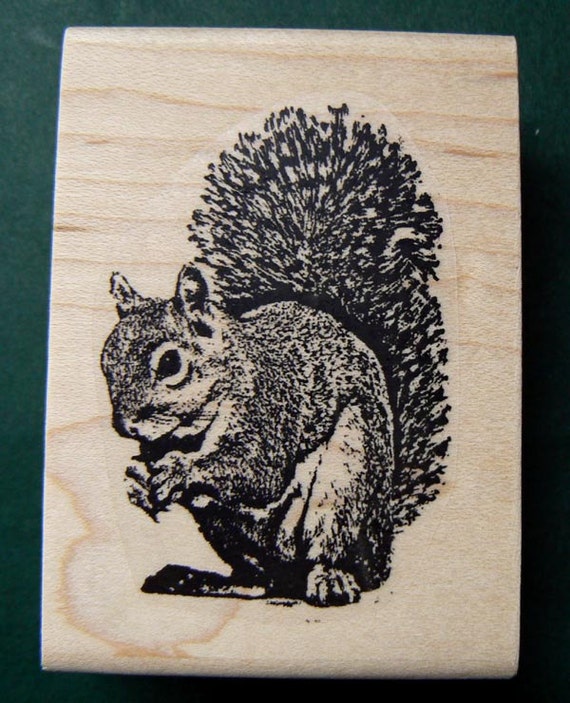Squirrel Rubber Stamps