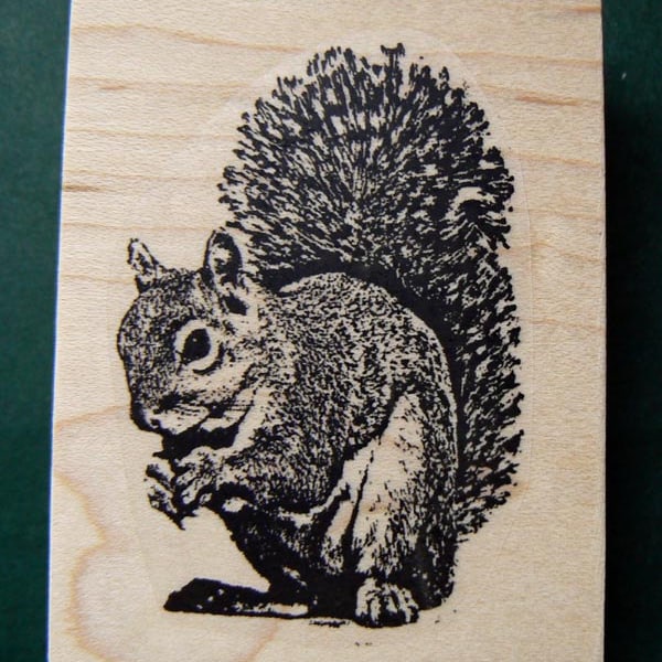 Squirrel Stamp - Etsy