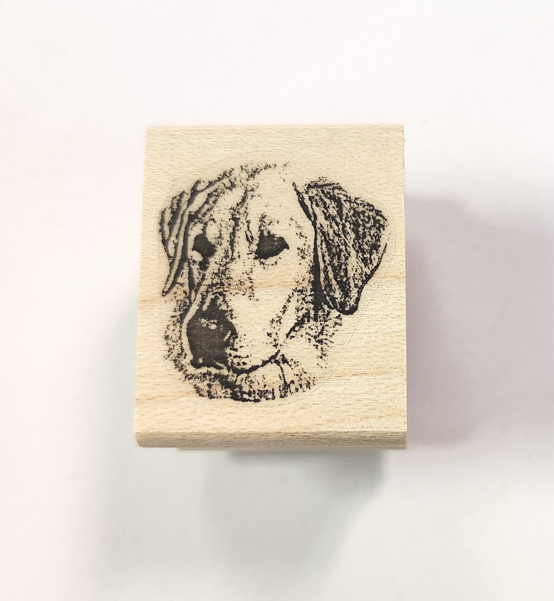 P24 Labrador Dog Rubber Stamp WM Miniature 1x1 - Etsy