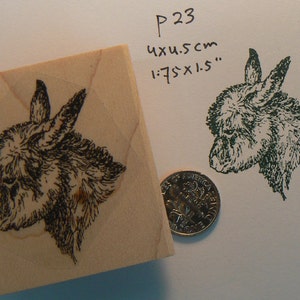 Donkey Rubber Stamp WM P23 - Etsy