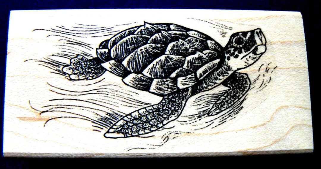 P41 Sea Turtle Rubber Stamp WM 2.2x1.25" - Etsy