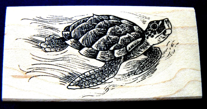 P41 Sea Turtle Rubber Stamp WM 2.2x1.25" - Etsy