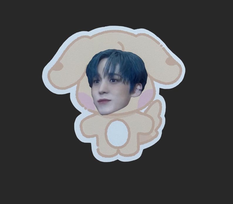 Funny Aniteez/ateez Member's Faces Kpop Stickers | 2-2.5" Waterproof ...