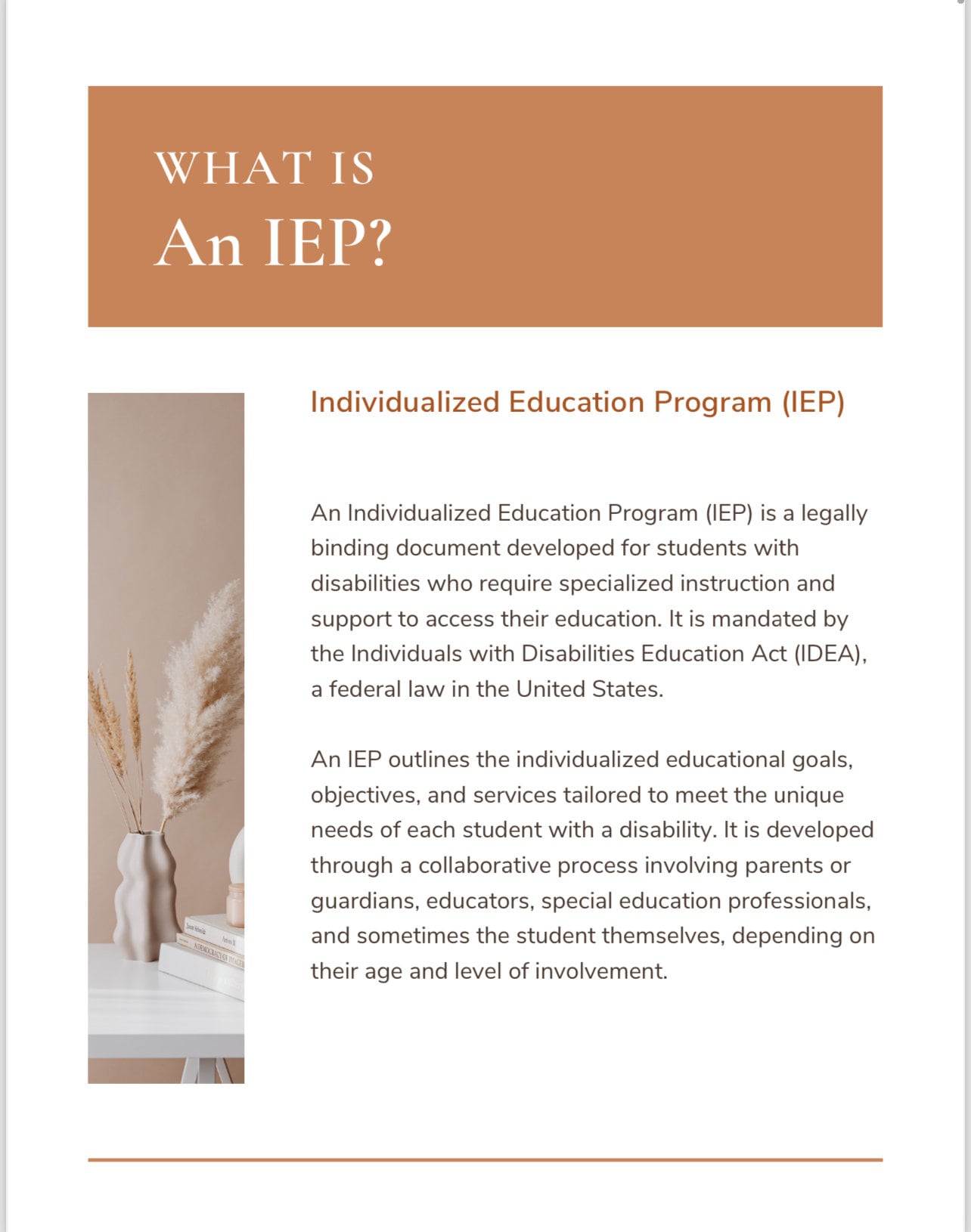 Empowering Parents Ultimate IEP Guide 2024 - Etsy