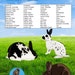 Rabbit Breeds - Etsy