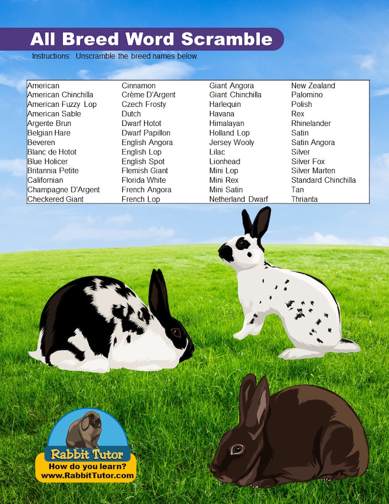Rabbit Breeds - Etsy