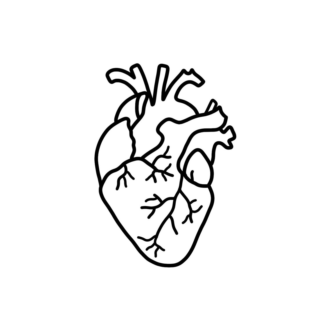 Anatomical White Heart - Etsy