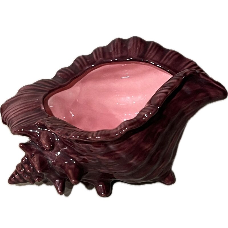 Conch Shell Planter - Etsy