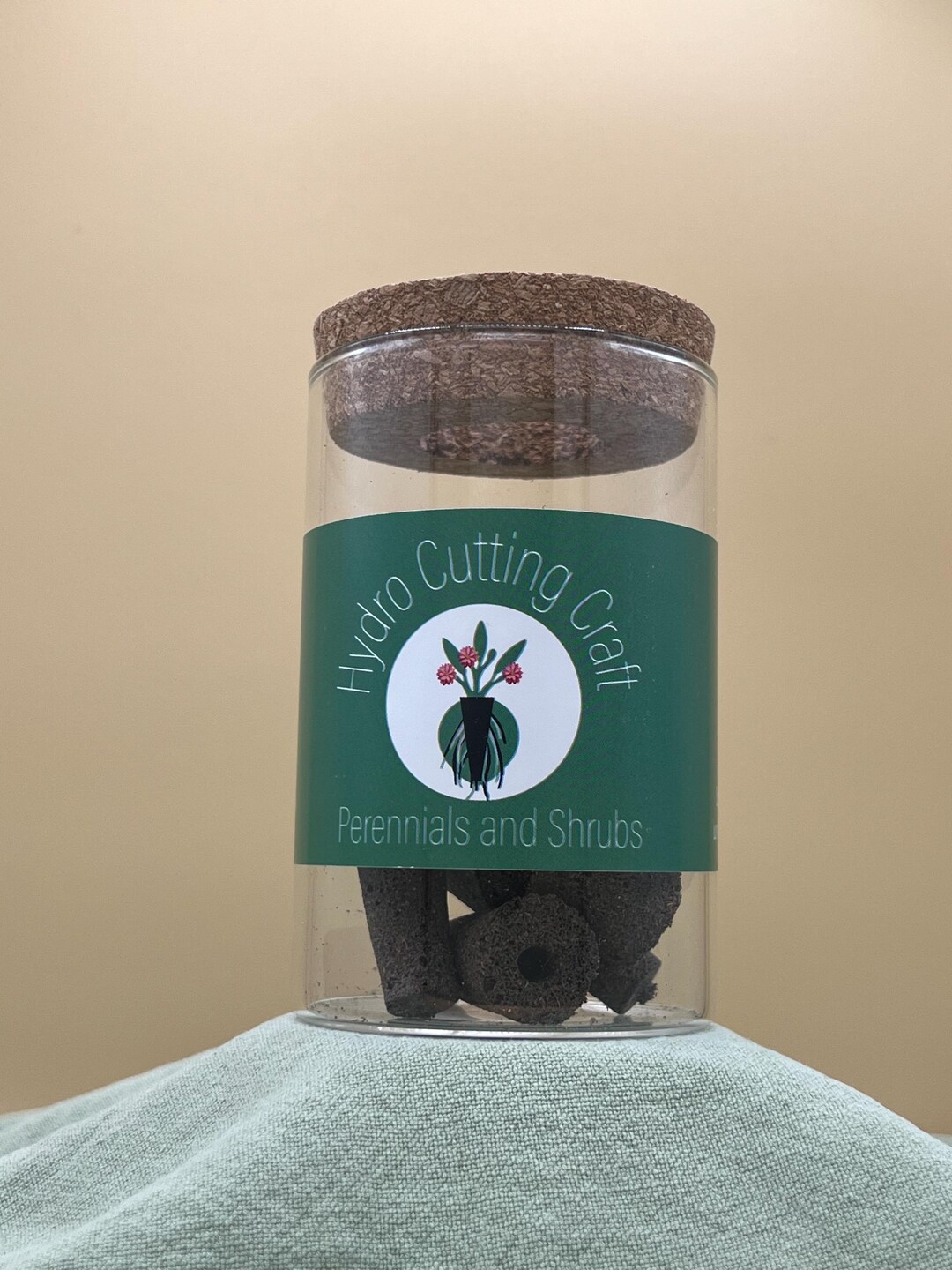 Hydroponic Propagation Set- Hydro Cutting Craft - Etsy