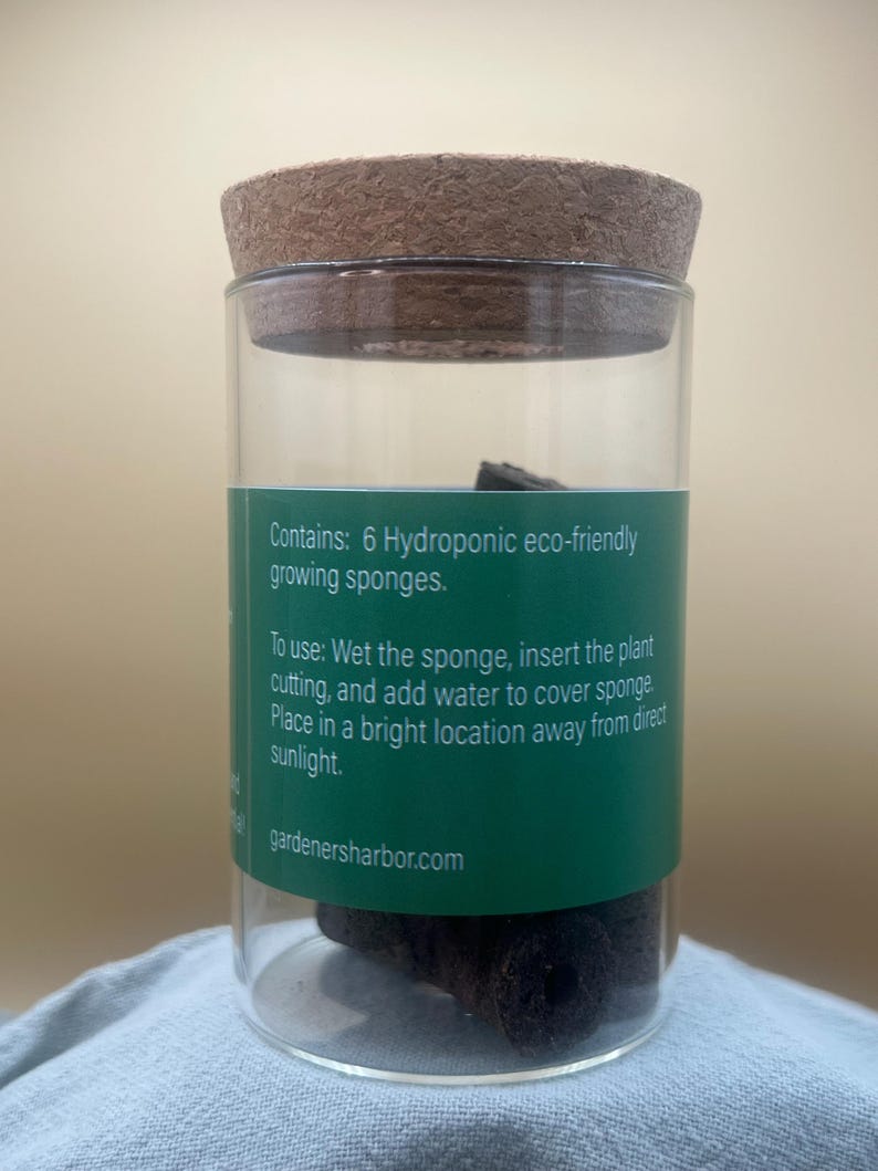 Hydroponic Propagation Set- Hydro Cutting Craft - Etsy