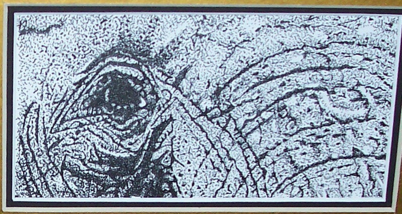 Animal Eyes Pen Ank Ink Drawing - Etsy