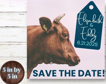 Angus Cow Tag the Date Save the Date Cow Wedding Invitation Farmhouse ...