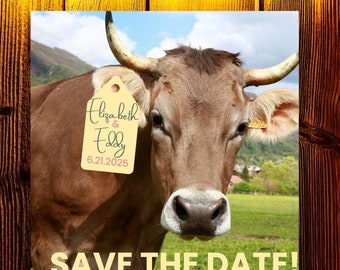 Angus Cow Tag the Date Save the Date Cow Wedding Invitation Farmhouse ...
