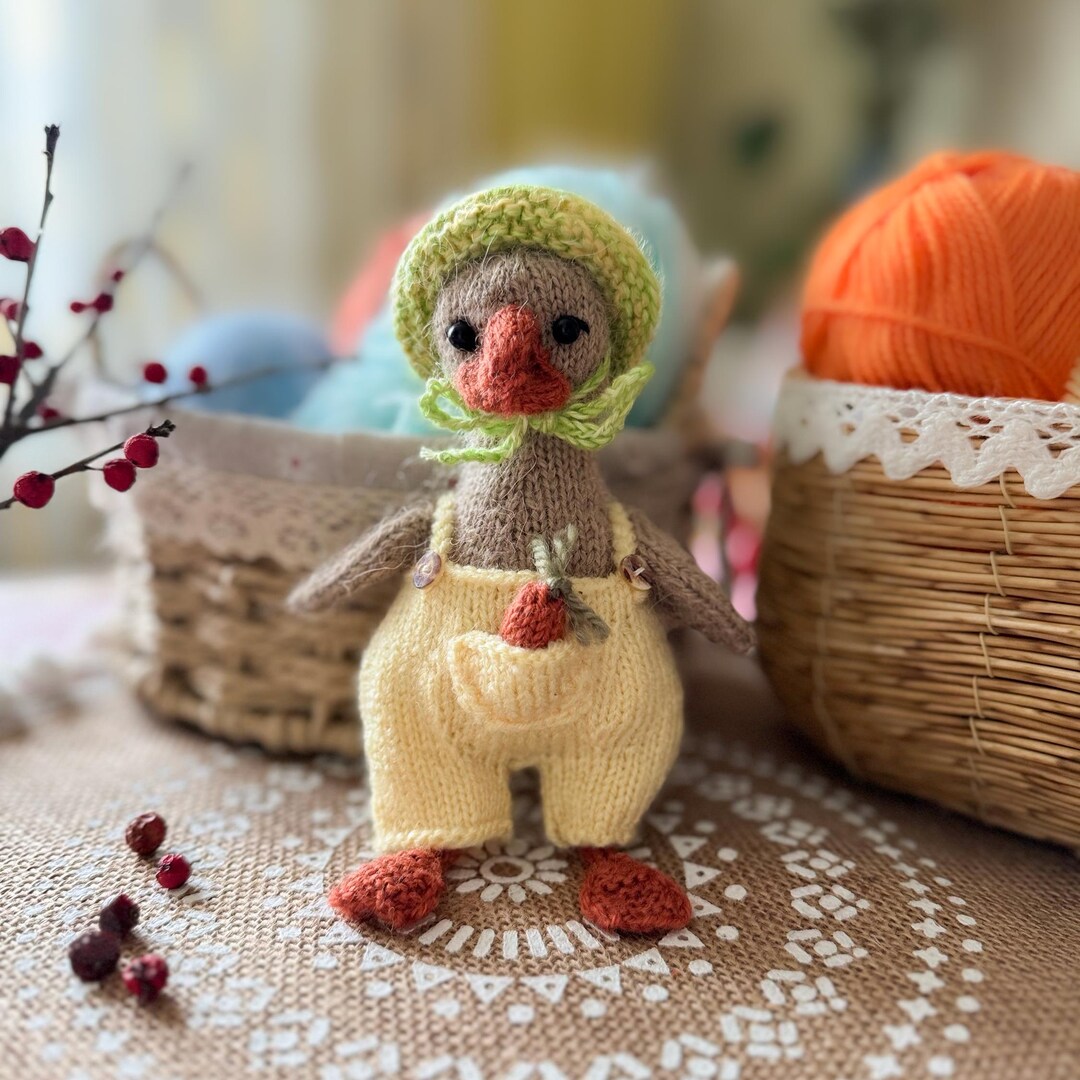 Knitted Goose Pattern in Romper Goose in Clothes Little Cute Goose ...