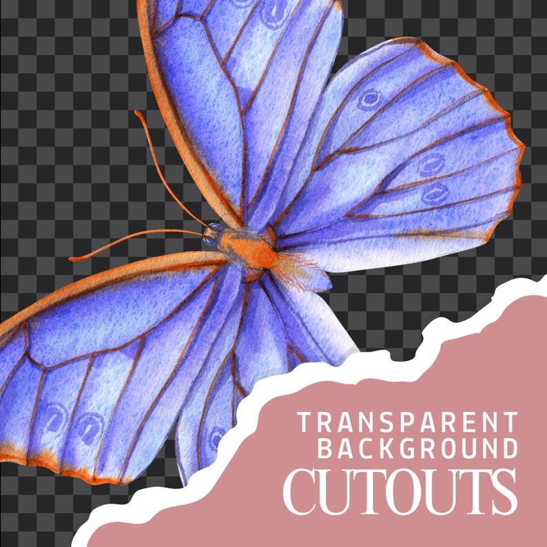150 Butterfly Clipart Watercolor Digital Collage PNG Bundle ...