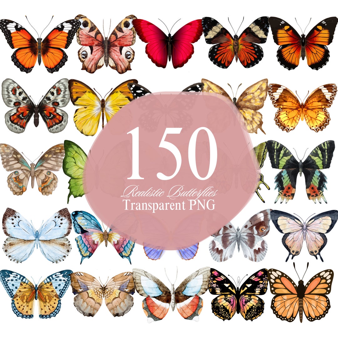 150 Butterfly Clipart Watercolor Digital Collage PNG Bundle ...