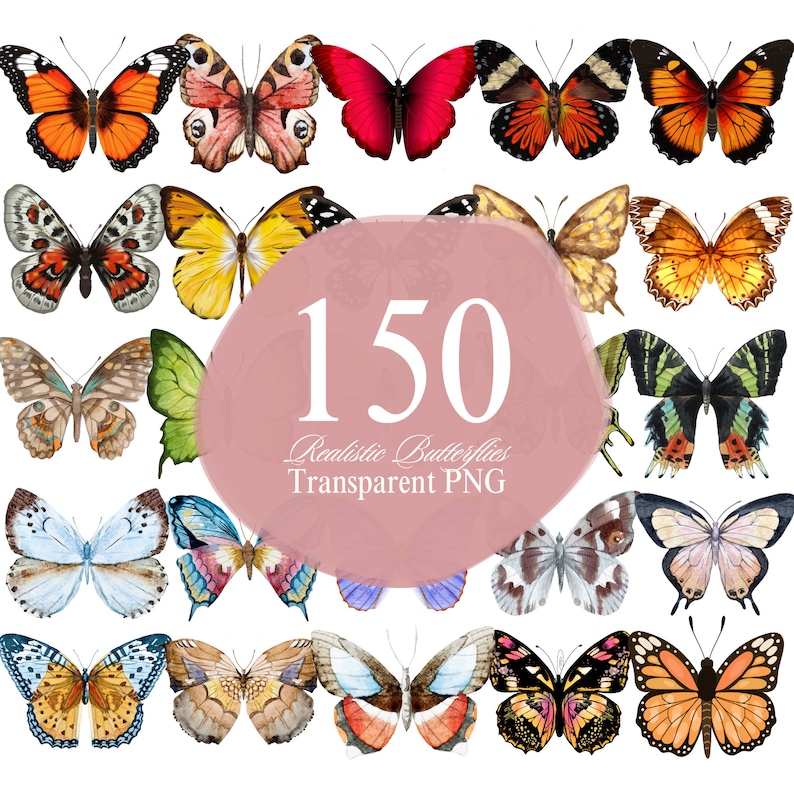 150 Butterfly Clipart Watercolor Digital Collage PNG Bundle ...