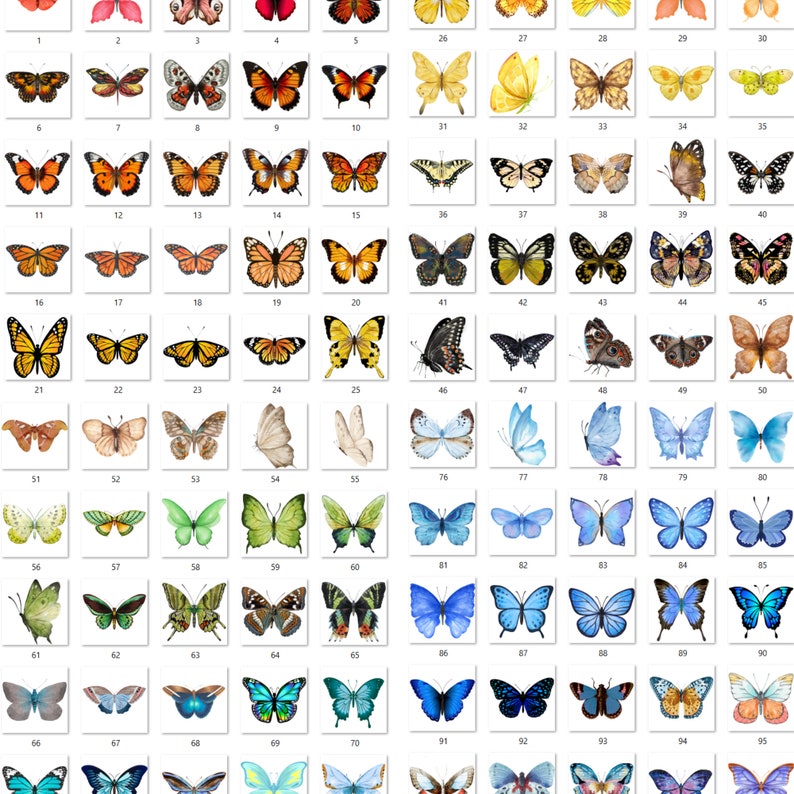 150 Butterfly Clipart Watercolor Digital Collage PNG Bundle ...
