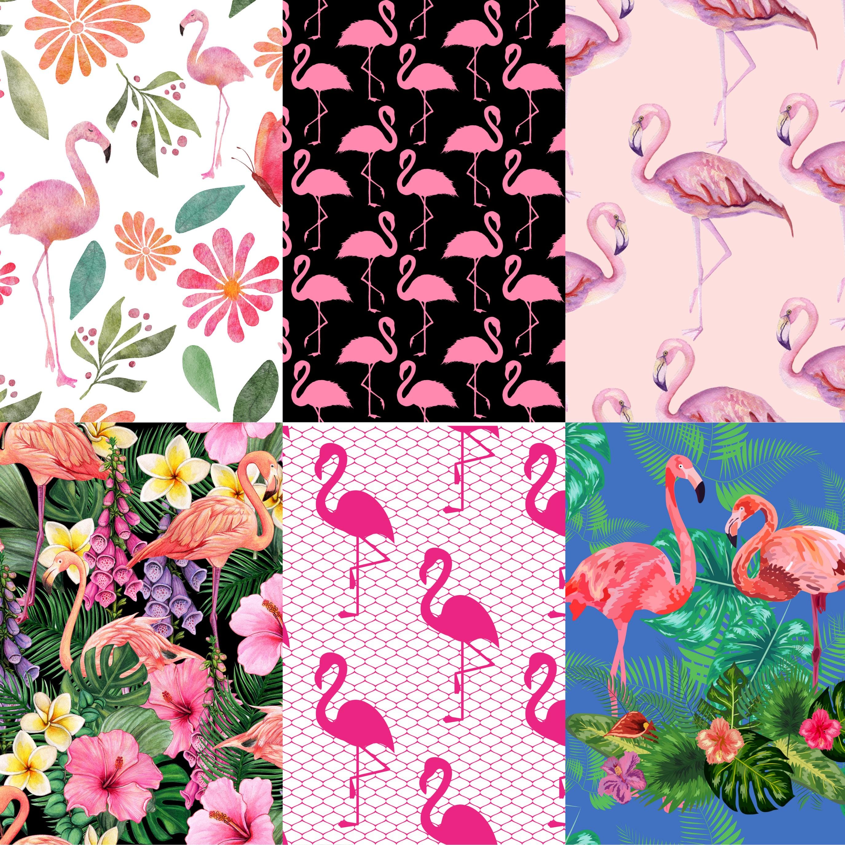 59 Assorted Cool Flamingo Seamless Pattern Scrapbooking Digital Paper ...