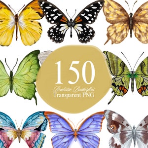 150 Butterfly Clipart Watercolor Digital Collage PNG Bundle ...