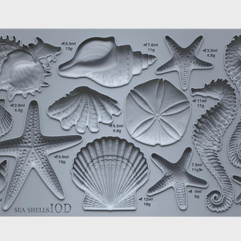 Sea Shell Mold - Etsy