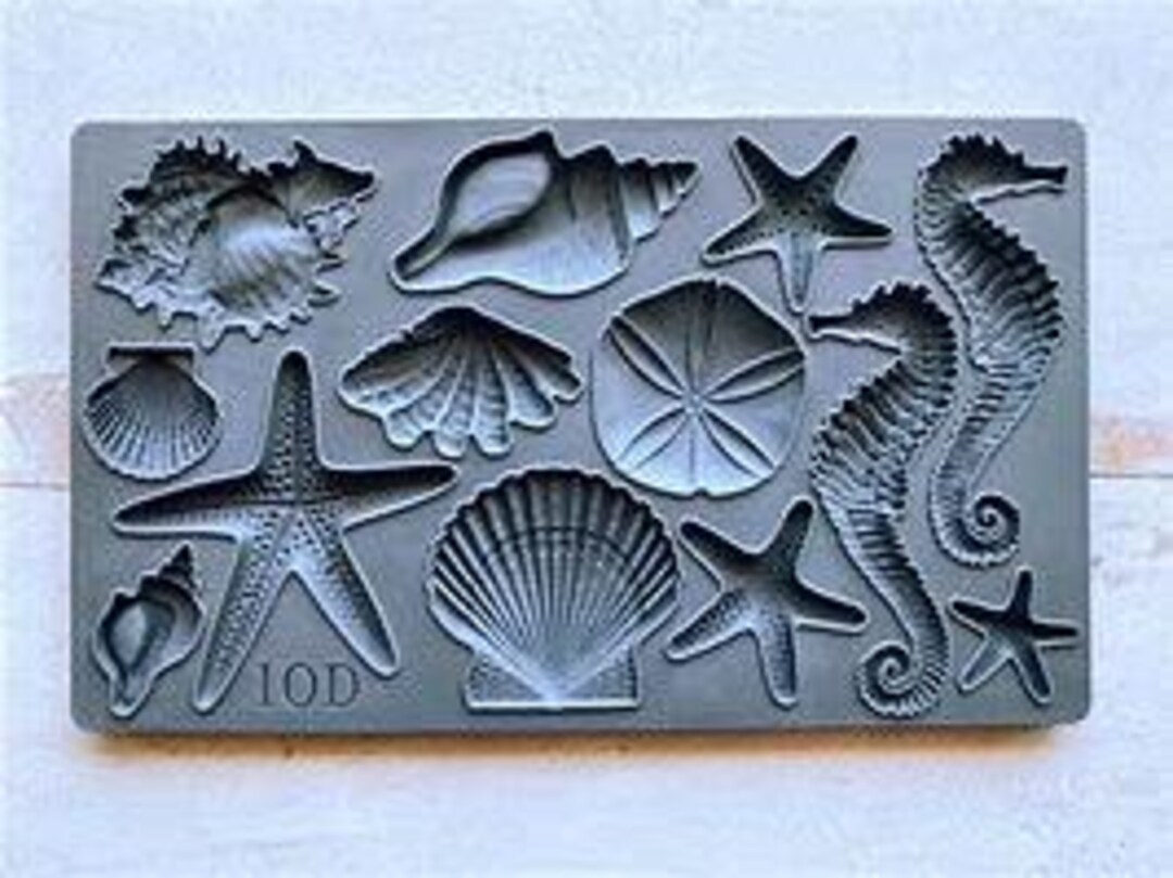 IOD Sea Shells Mould by Iron Orchid Designs - Etsy