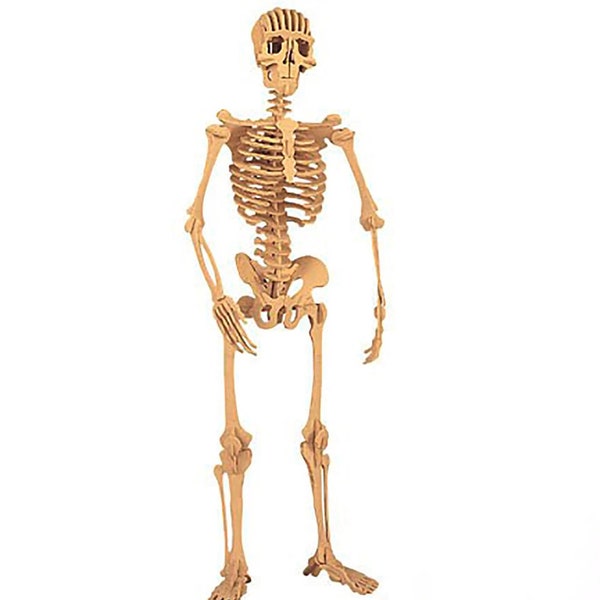 Skeleton Laser Template - Etsy