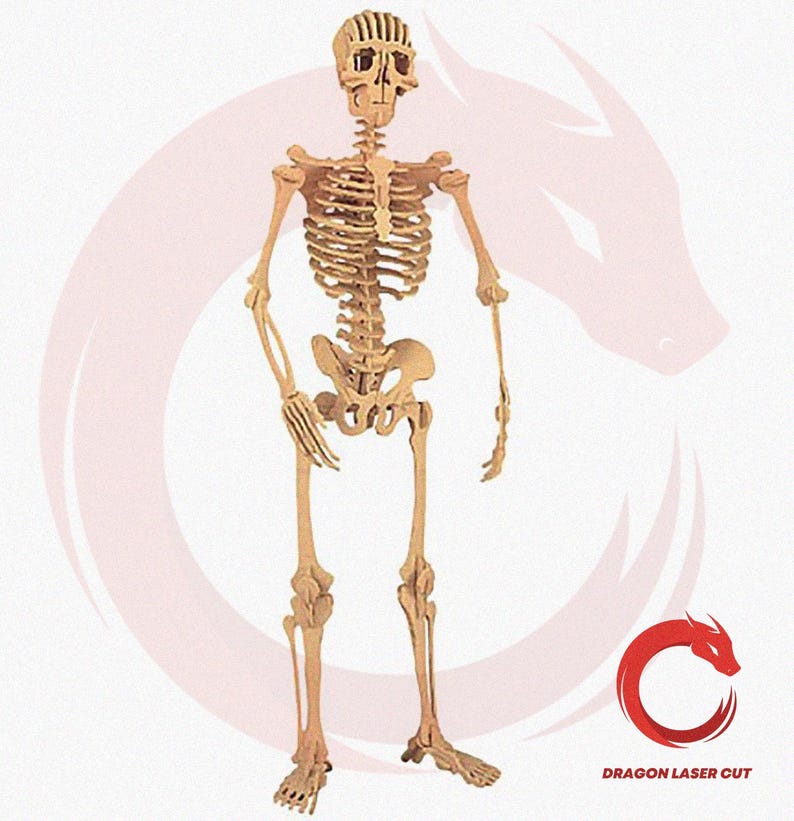 Laser Cut Files Three-dimensional Human Skeleton Puzzle SVG Bundle ...