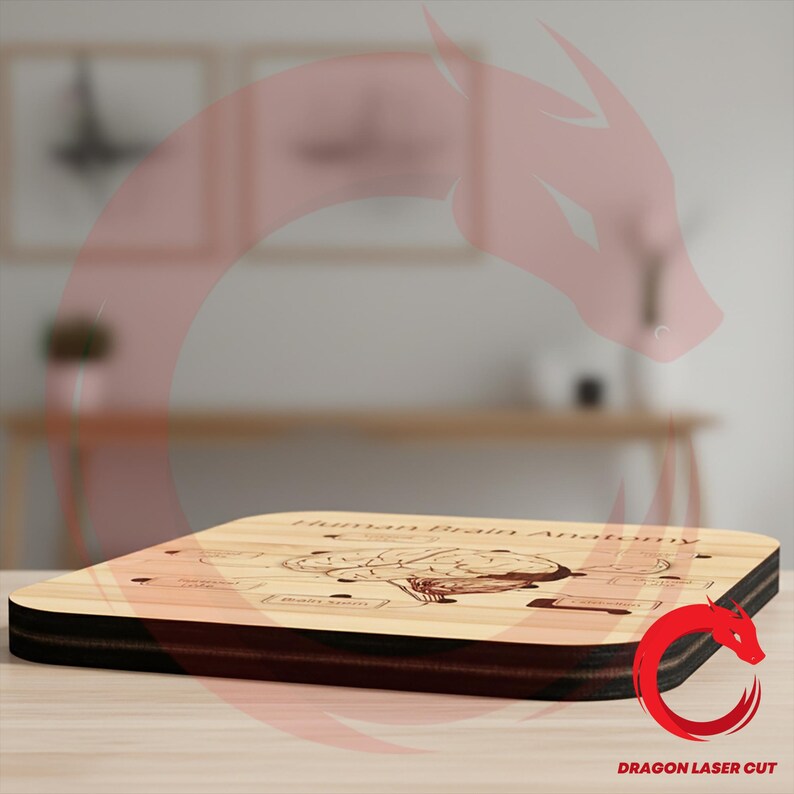 Laser Cut Human Brain Anatomy Wooden Puzzle SVG Glowforge Cutting Brain ...