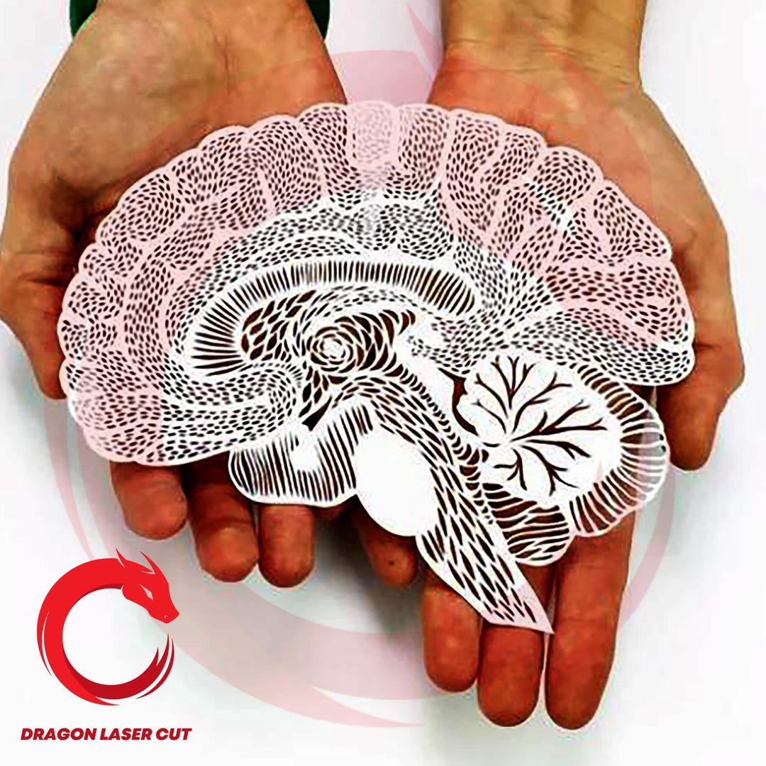 Laser Cut Human Brain Anatomy Wooden Puzzle SVG Bundle Glowforge Laser ...