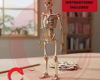 Laser Cut File Three-dimensional Human Skeleton Puzzle SVG Bundle ...