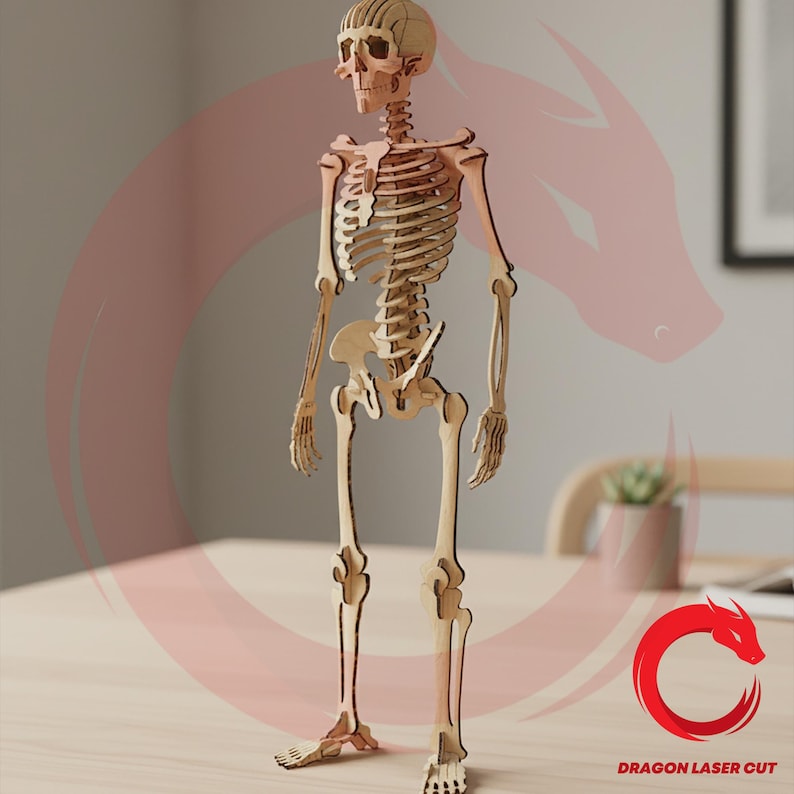 Laser Cut Files Three Dimensional Human Skeleton Puzzle SVG Glowforge ...