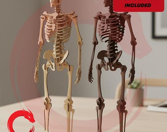 Laser Cut Files Three Dimensional Human Skeleton Puzzle SVG Glowforge ...