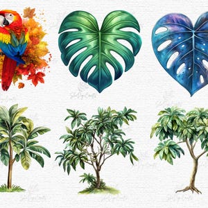 Safari Jungle Clipart Set Watercolor Baby Animals Monkey Swing Tent ...