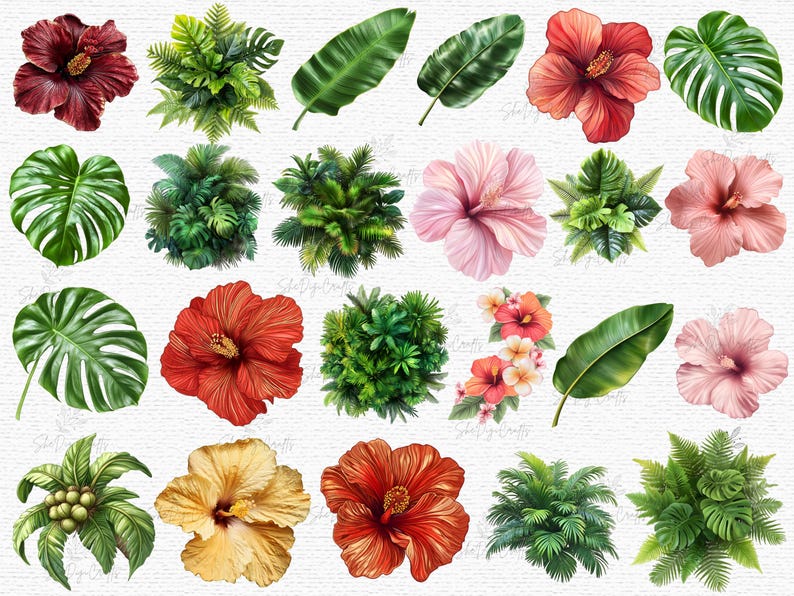 Hawaiian Luau Clipart Png Bundle Tropical Party Graphics Summer Beach ...