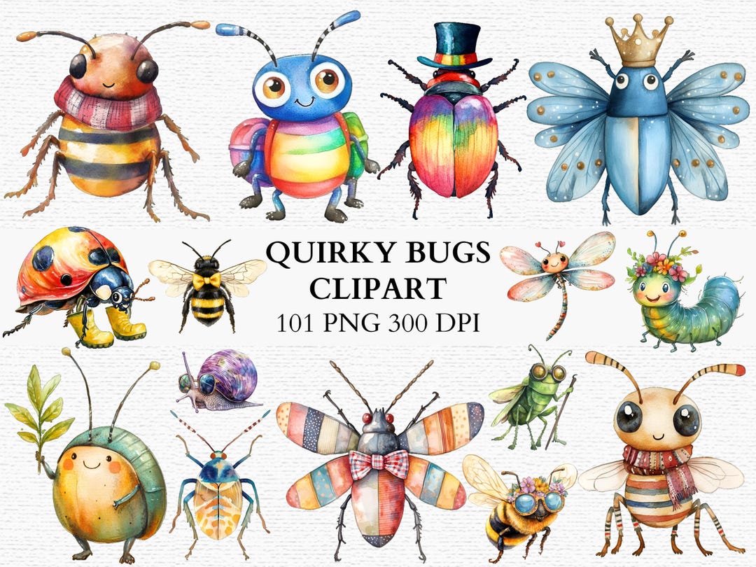Quirky Bug Clipart Bundle Cute Insect Pngs Rainbow Beetles Cartoon ...