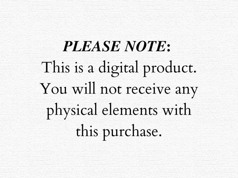 Safari Animals Clipart Bundle PNG Baby Jungle Zoo Animals Cute Safari ...