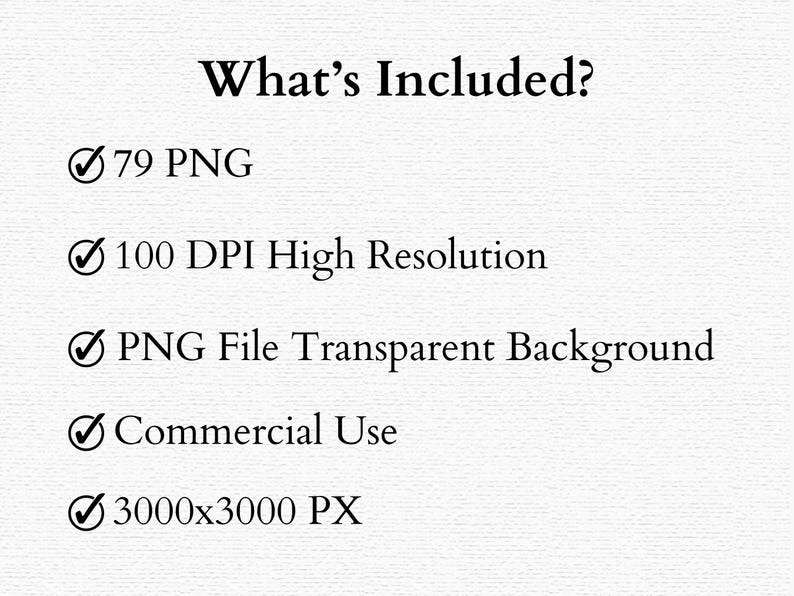 Safari Animals Clipart Bundle PNG Baby Jungle Zoo Animals Cute Safari ...