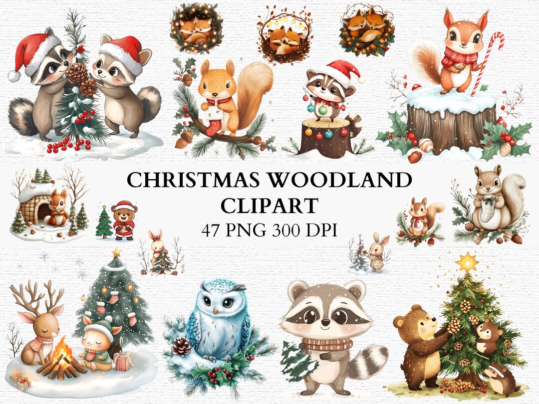 Christmas Woodland Animals Clipart Winter Forest PNG Holiday Cute ...