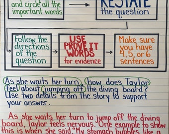 Laminated State Exam Test Prep Sentence Stems Written Response Anchor ...