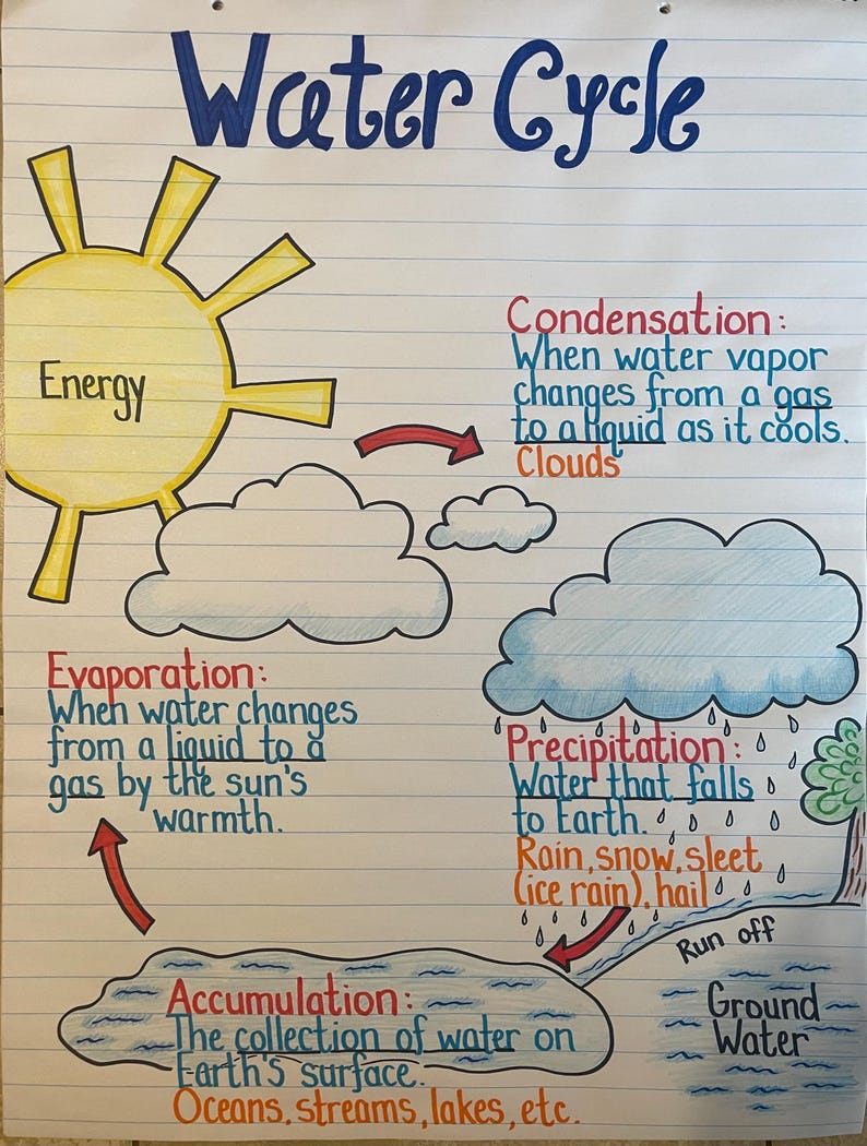 Water Cycle Earth Science Anchor Learning Chart Elementary Classroom ...