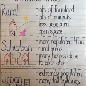 Laminated SS American History 20th Century Timeline Anchor Learning ...