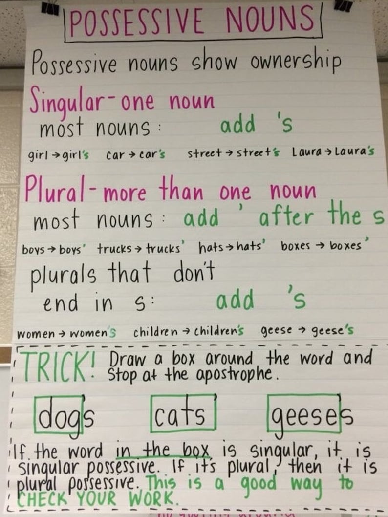 Laminated Singular & Plural Possessive Nouns Rules Grammar Skills ...