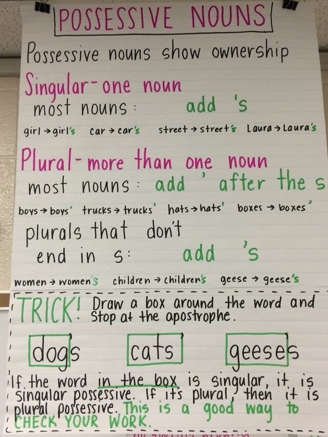 Singular & Plural Possessive Nouns Rules Grammar Skills Anchor Chart ...