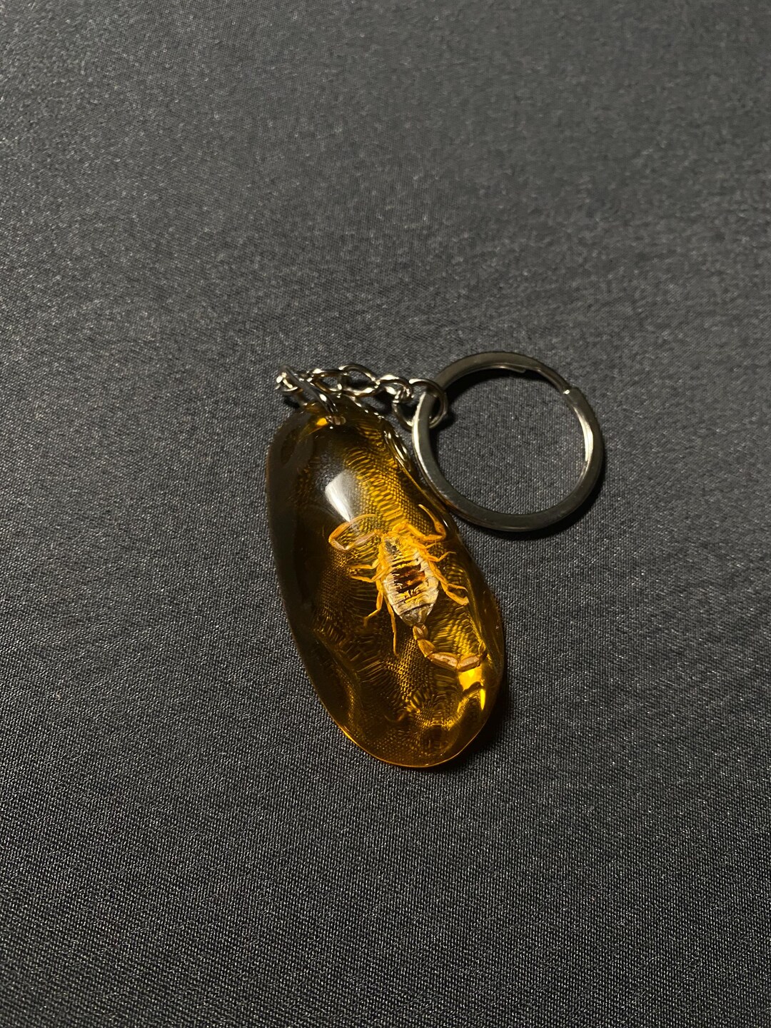 Scorpion Fossil Amber Keychain Unique Handcrafted Natural Amber ...