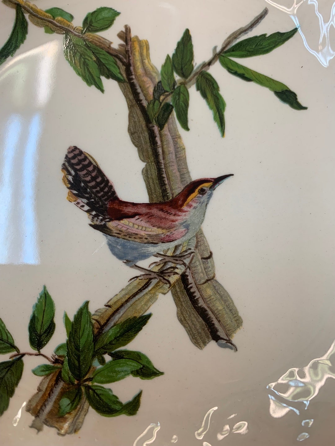 Antique Beswick Wren Plate Wall English Dishes Alfred Meakin Audubon ...