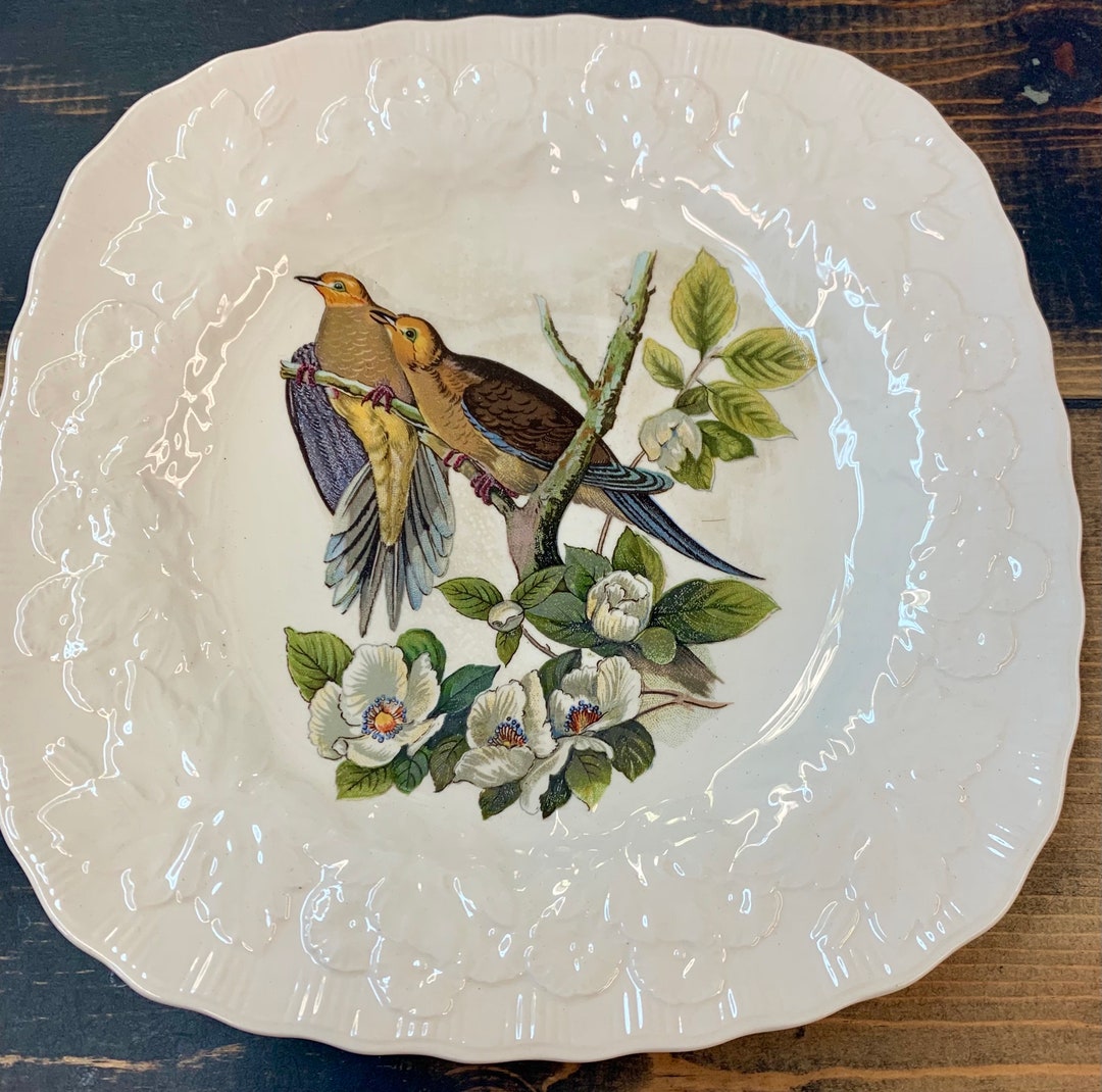 Antique Carolina Turtle Dove Plate Wall English Dishes Alfred Meakin ...